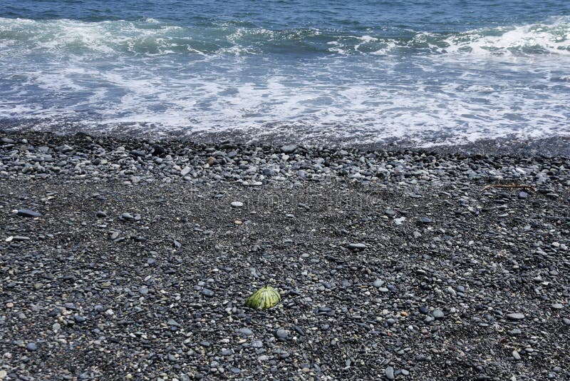 1,022 Midsummer Beach Stock Photos - Free & Royalty-Free Stock Photos ...