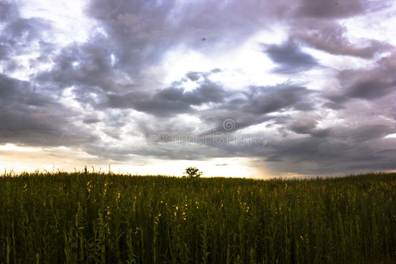 Fantastic Sunset at the Meadow Landscape. Colorful Sky with Overcast ...