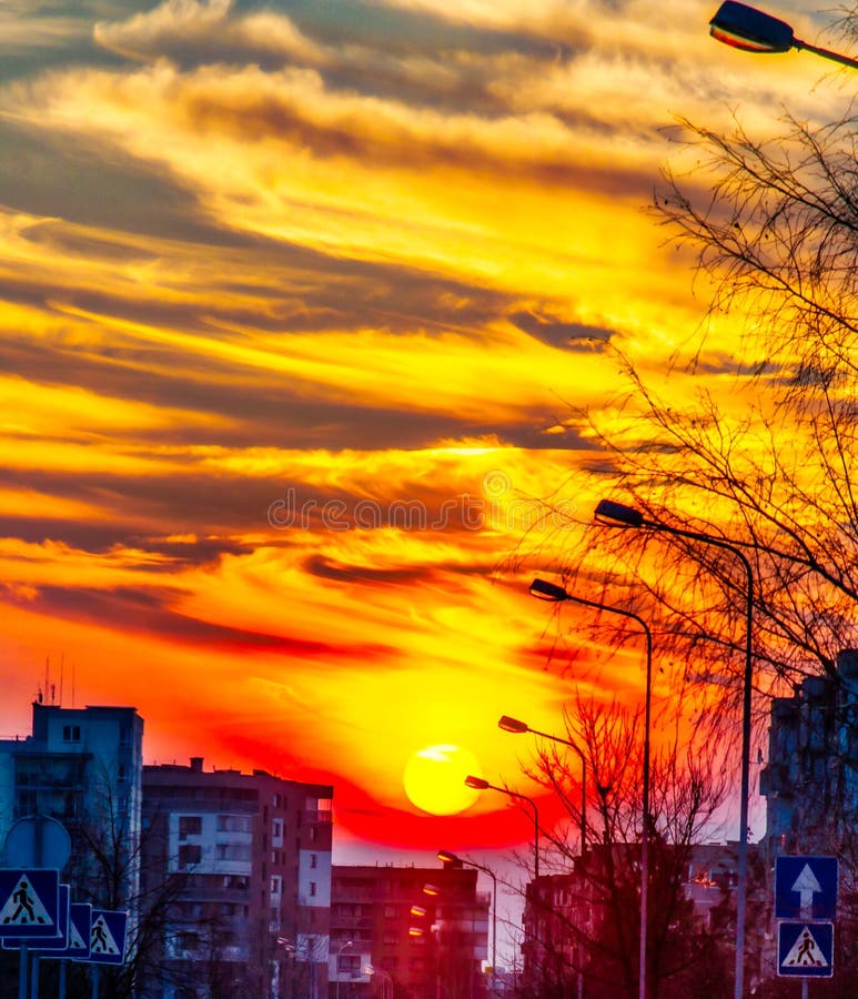 FANTASTIC SUNSET BEACH with PALM TREES Stock Photo - Image of feelings ...