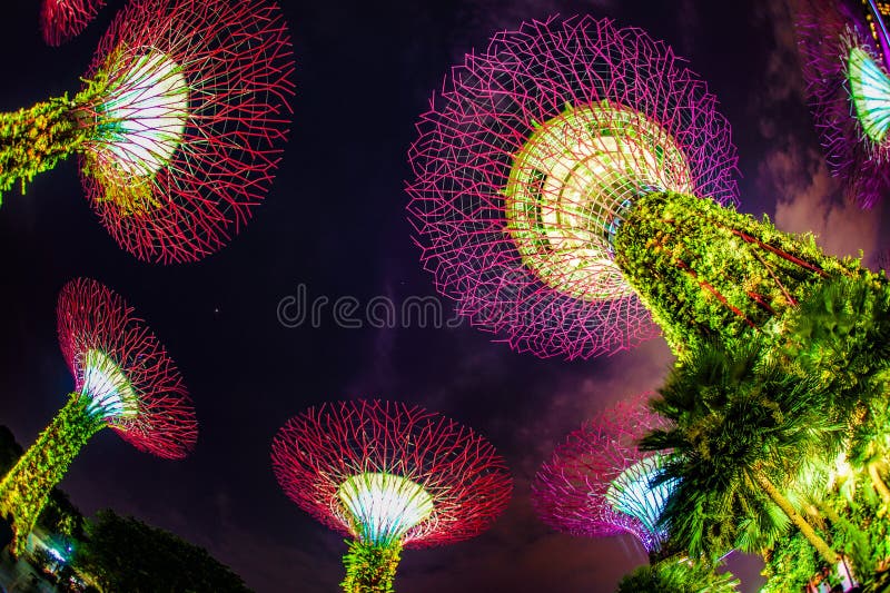 Fantastic super tree stock photo. Image of show, architecture - 357070922