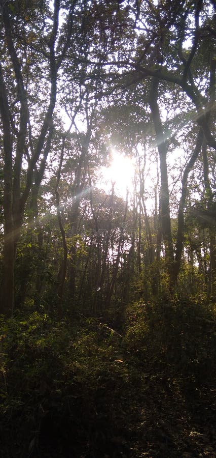 A Fantastic View Sun in Evening Stock Image - Image of view, motor ...