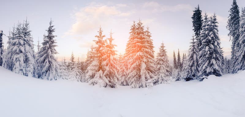 Fantastic Winter Landscape. Dramatic Overcast Sky. Creative Collage ...