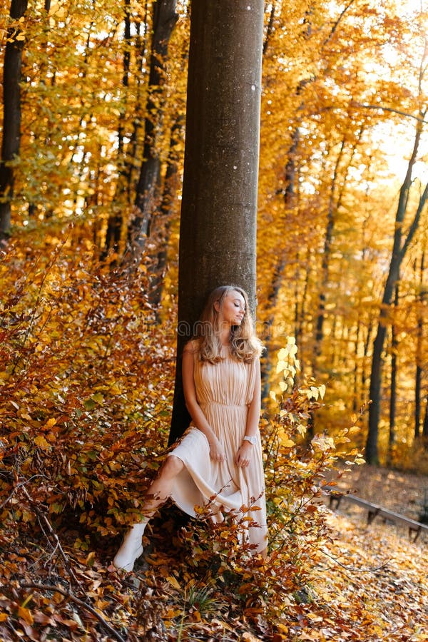 A Fantastic Woman Leaned Against a Tree in an Autumn Forest Stock Photo ...