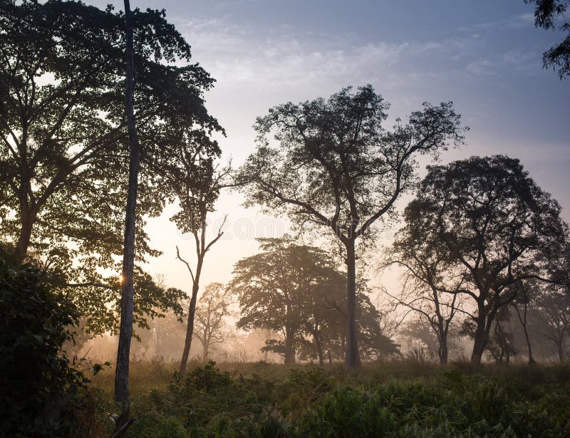 Fantasy African lanscape stock photo. Image of landscape - 55027710