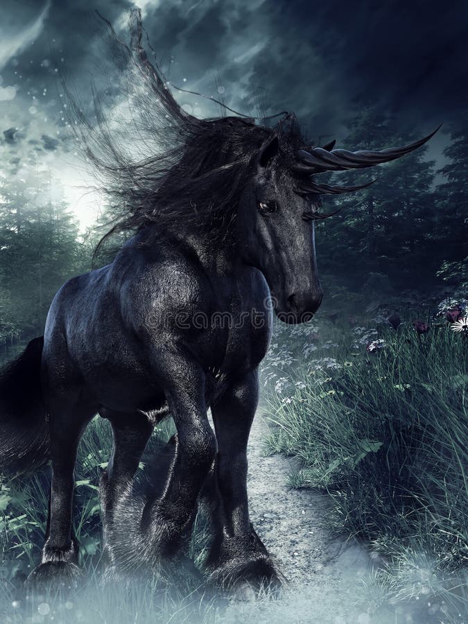 Fantasy Black Unicorn on a Flowering Meadow Stock Illustration ...