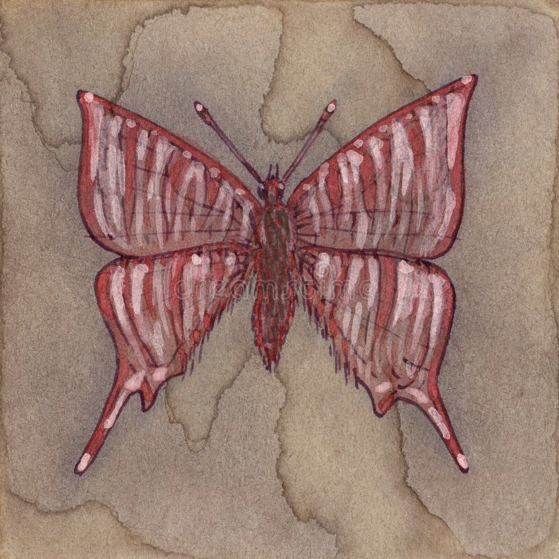 Fantasy butterfly stock illustration. Illustration of magical - 59824085