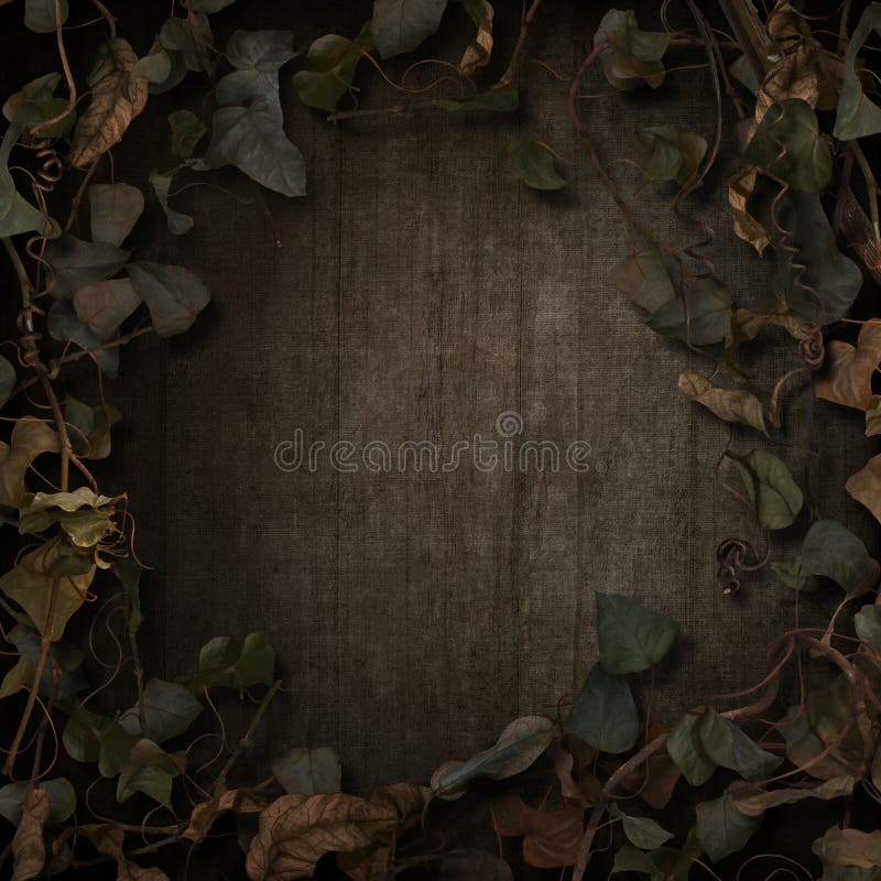 50+ Dark fantasy border Free Stock Photos - StockFreeImages