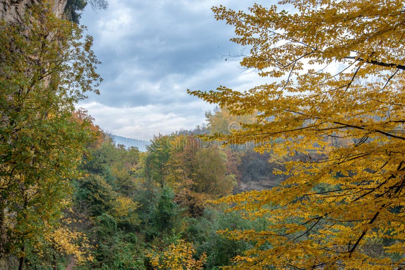Fantasy fall landscape stock image. Image of park, colors - 70921791