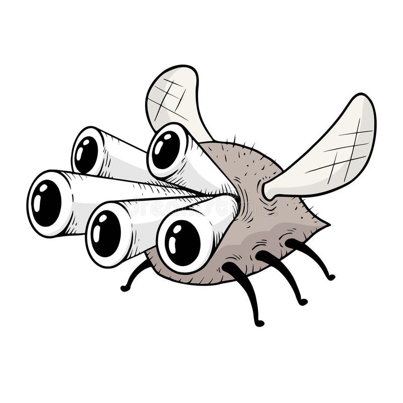 Fantasy Fly Insect with Big Eyes Stock Vector - Illustration of ...