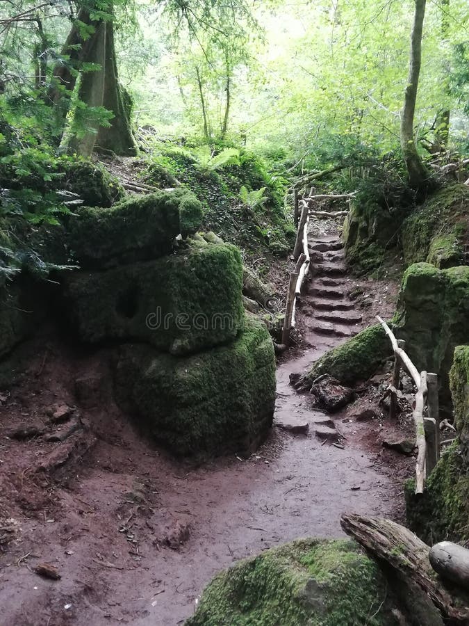 Fantasy Forest Woodland Hidden Adventure Stock Photo - Image of hidden ...