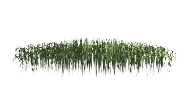 Fantasy Grass In The Summer Stock Illustration - Illustration of design ...