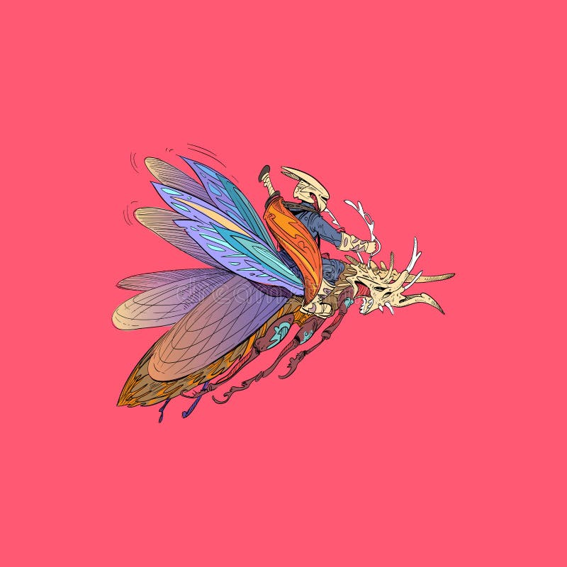 Fantasy Illustration. Man is Riding a Bug. Design Character Stock ...