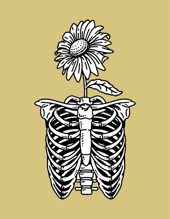 Daisies Tumblr Drawing