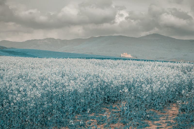 2,537 Magical Background Fantasy Castle Stock Photos - Free & Royalty ...