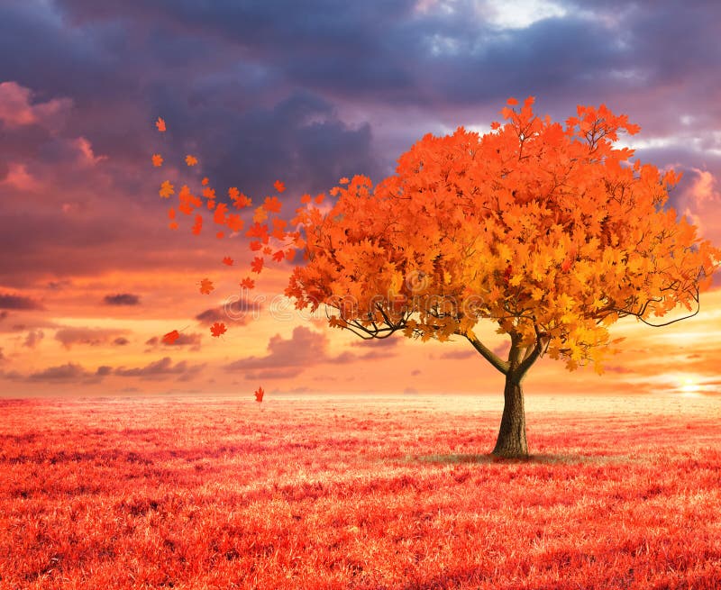 Fantasy Landscape with Red Autumn Tree Stock Photo - Image of plant ...