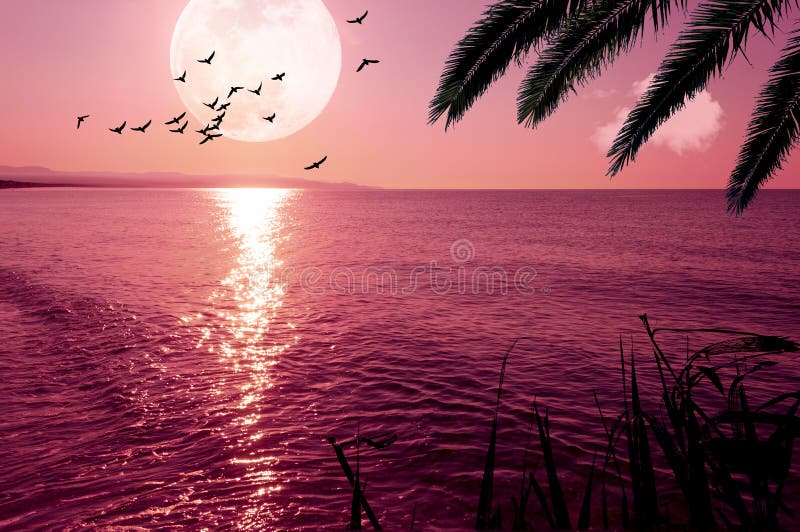 Fantasy Landscape with Super Moon and Flying Birds on the Coast at ...