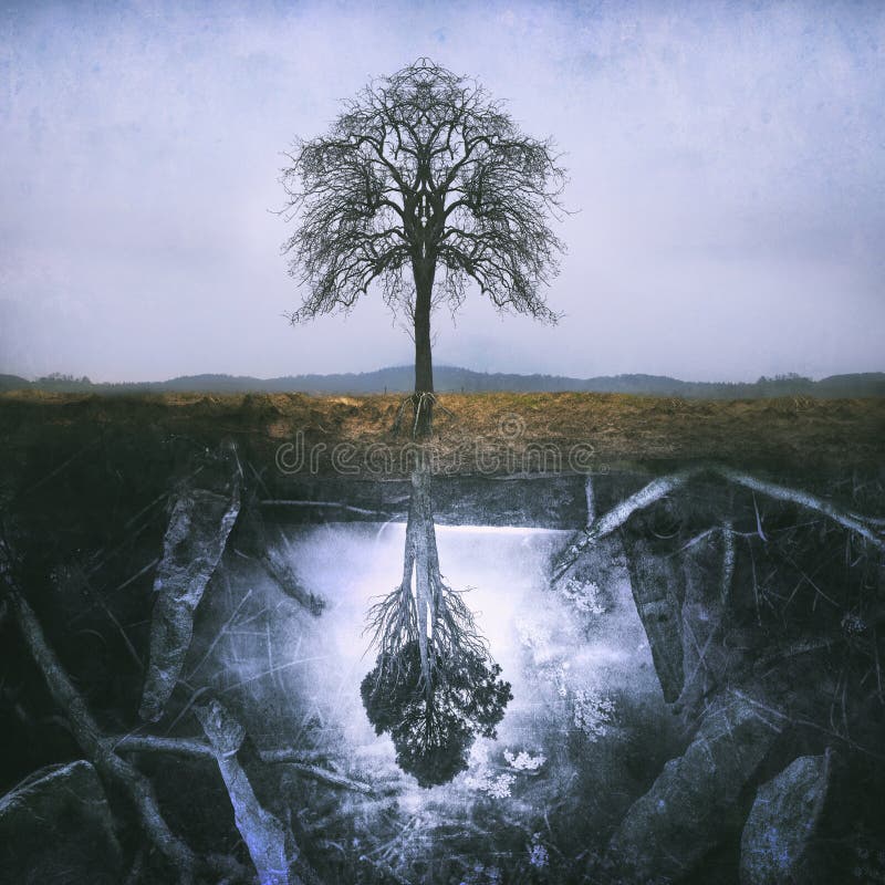 Fantasy Landscape Underground Stock Photo - Image of bright, magical ...