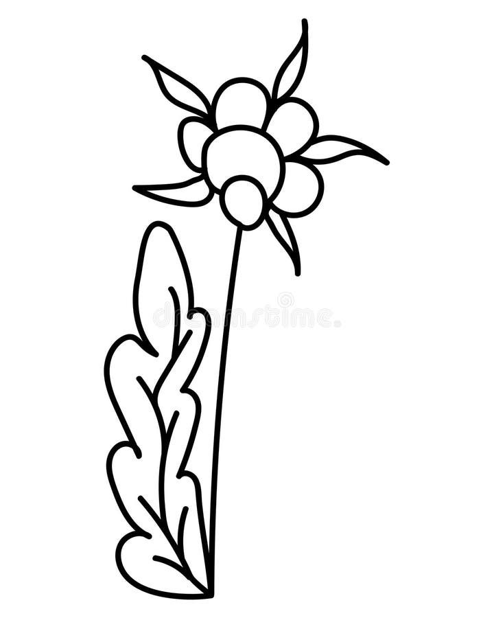 Fantasy Linear Flower in Doodle Style, Outline Plant with Leaf for ...