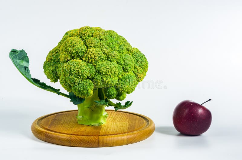 Fantasy Mini Landscape - Trees Made with Broccoli on a White Background ...