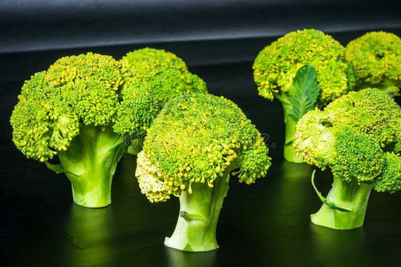 Fantasy Mini Landscape - Trees Made with Broccoli on a Black Background ...