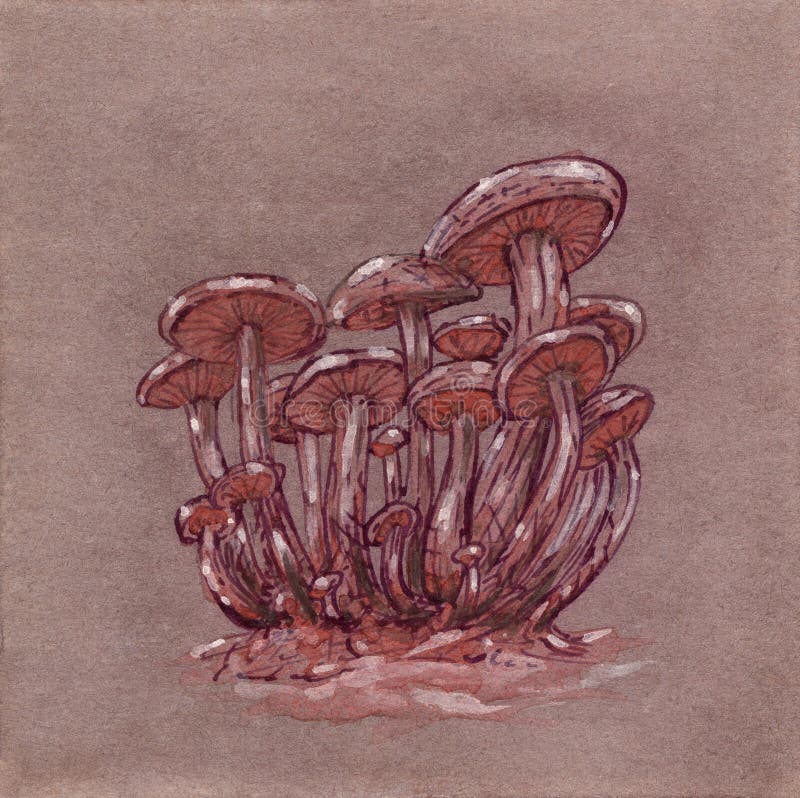 Fantasy mushrooms stock illustration. Illustration of mushroom - 13716855