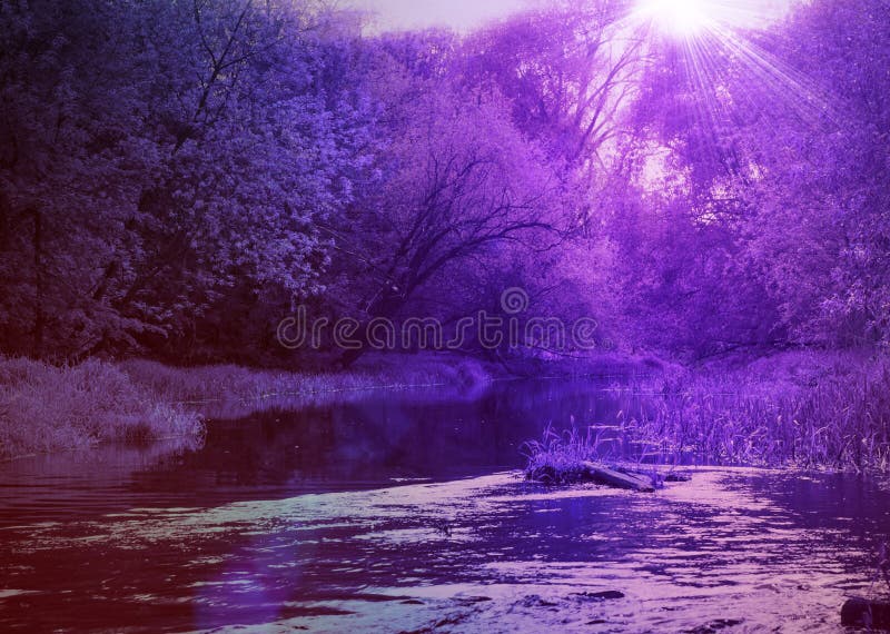 Fantasy Purple Forest and River Stock Image - Image of spooky ...