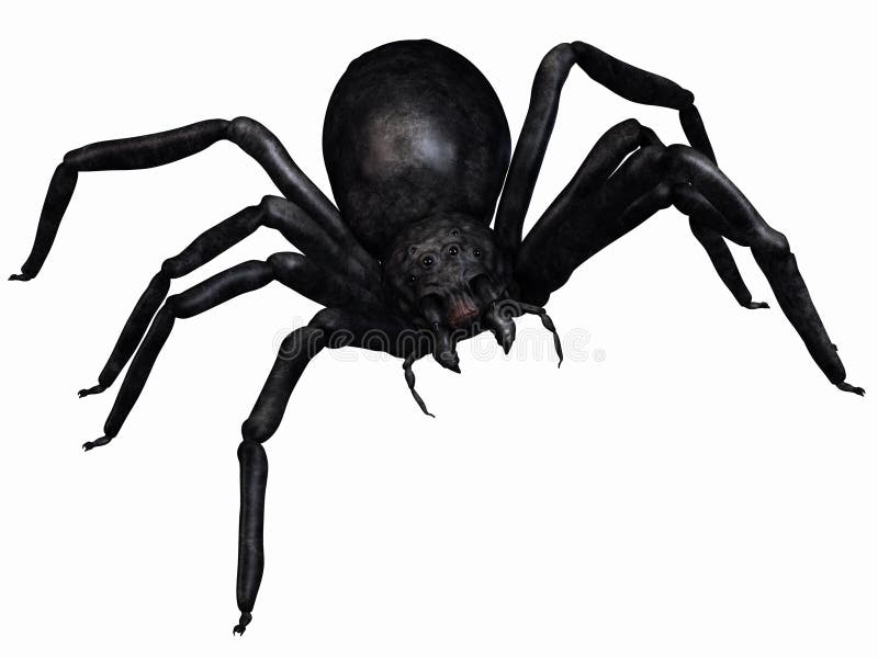 Fantasy Spider stock illustration. Illustration of detail - 17058629