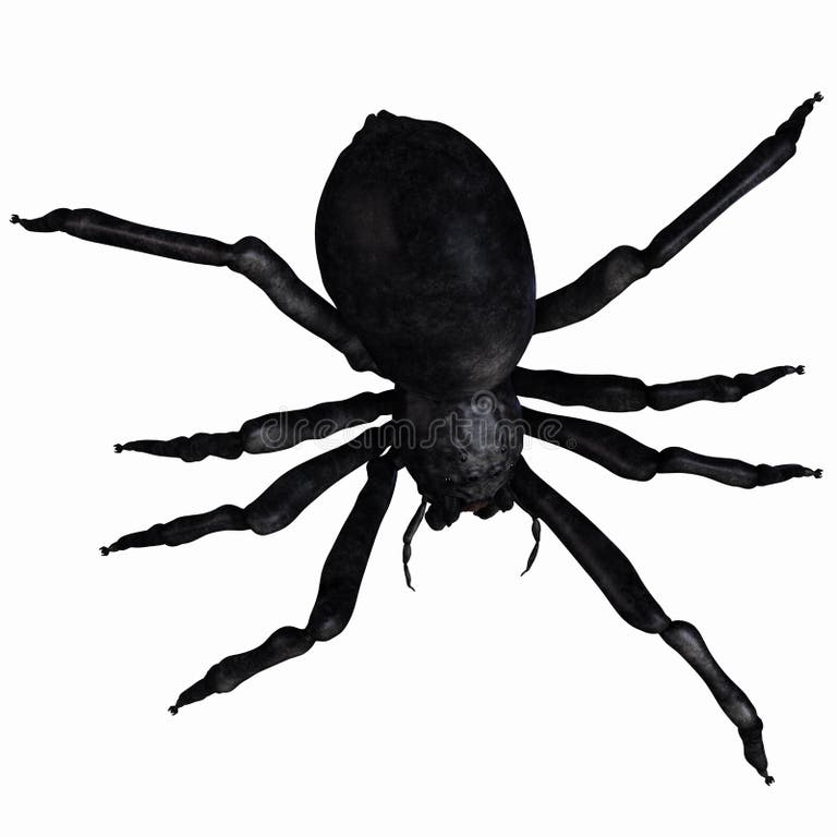 Fantasy Spiders Stock Illustrations – 816 Fantasy Spiders Stock ...