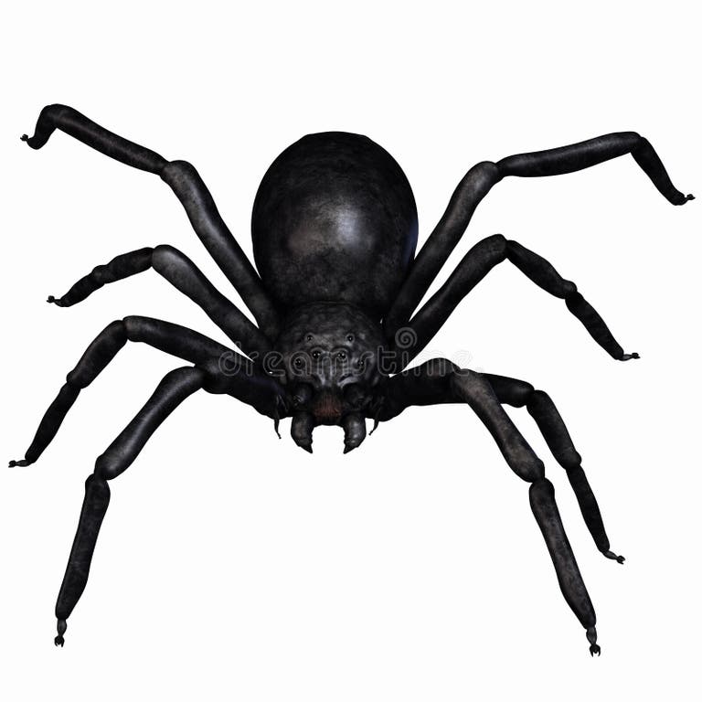 Furry Spider Stock Illustrations – 482 Furry Spider Stock Illustrations ...