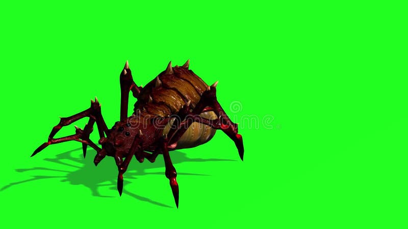 Fantasy Spider Appears, Runs and Stops with Shadow on the Floor Stock ...