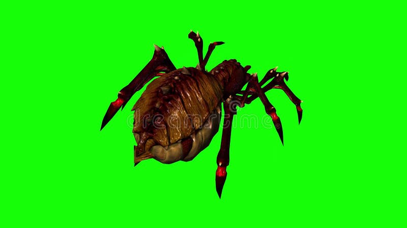 Fantasy Spider is Running - Back View Stock Video - Video of arthropod ...