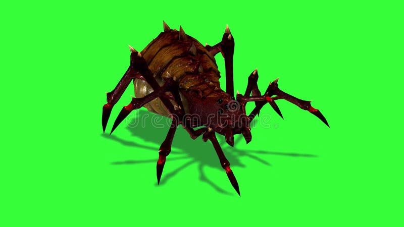 Fantasy Spider Dies - Top View on Green Screen Stock Footage - Video of ...