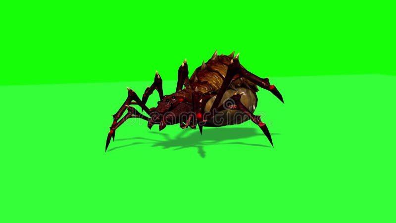 Fantasy Spider is Running with Shadow on the Floor Stock Footage ...