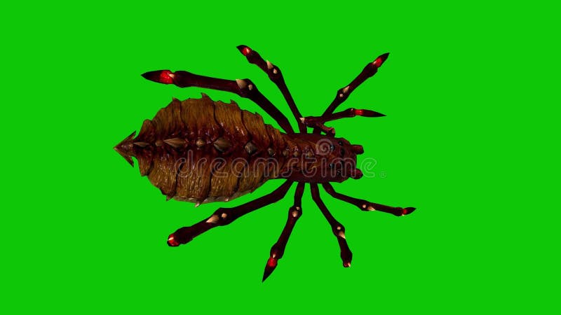 Fantasy Spider is Running - Top View with Shadow on the Floor Stock ...