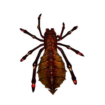 Spider Top View Stock Illustrations – 1,247 Spider Top View Stock ...