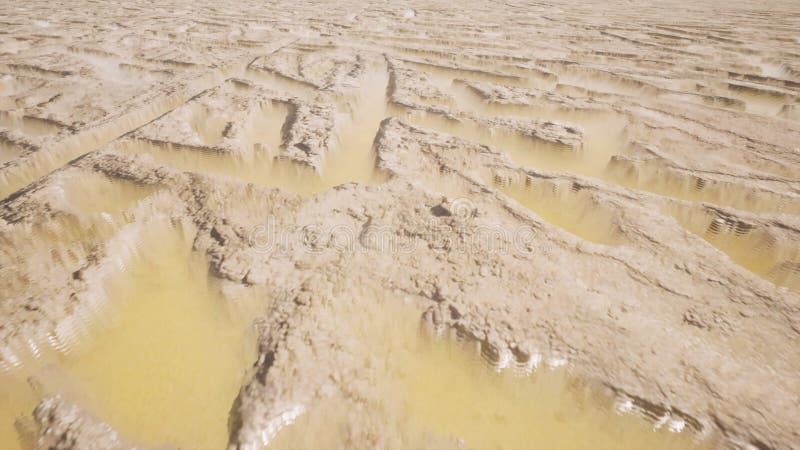 Fantasy Swamp Mud Slush Wetland Stock Video - Video of river, pond ...