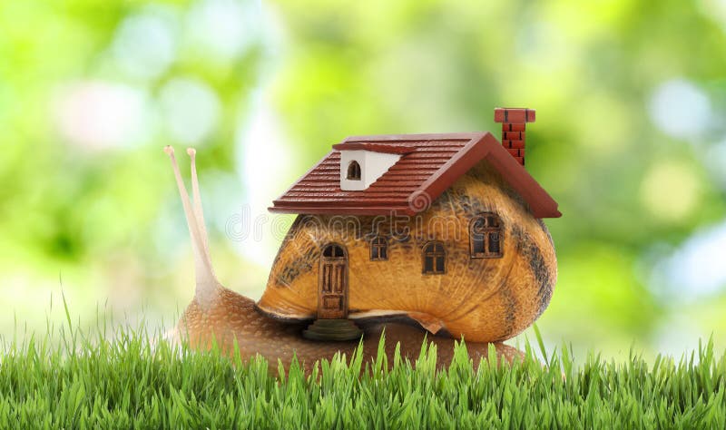 Fantasy World. Magic Snail with Its Shell House Moving on Green Meadow ...