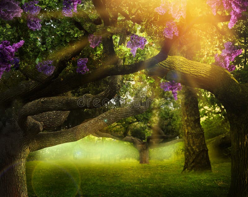 Fantasy World. Trees with Blossoming Magic Flowers in Enchanted Forest ...