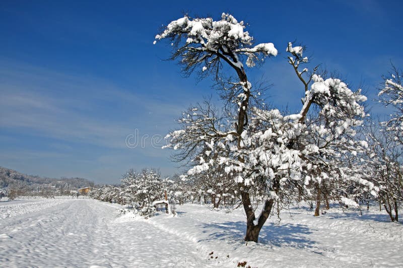 Far Cottage and Tree Covered by Snow Stock Image - Image of entrance ...