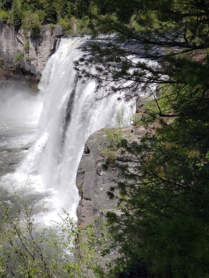 Far from the Falls stock photo. Image of water, forest - 187696066