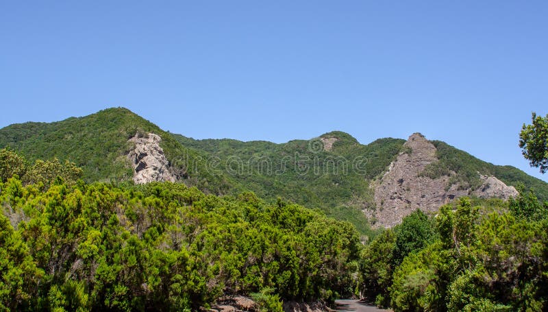 Far View To a Forest with Rocks Stock Photo - Image of leaf, beautiful ...