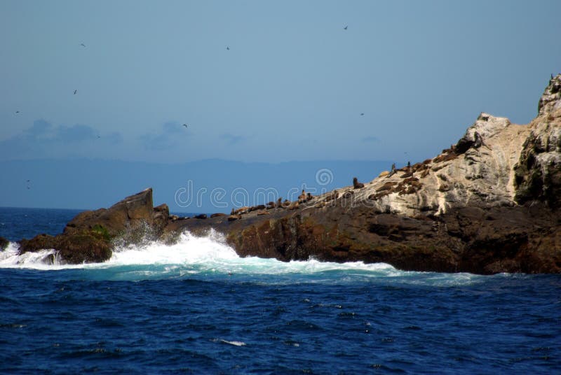 Farallon Islands Lighthouse Off Coast of San Francisco in the Gulf of ...
