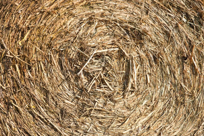 Fardo de palha amarelo imagem de stock. Imagem de colheita - 182038591