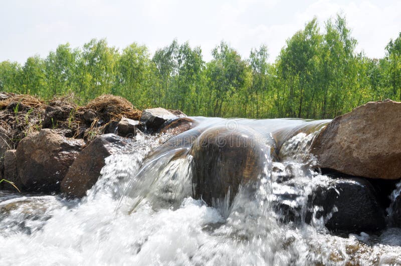Farest stream stock image. Image of forest, green, refresh - 12754801