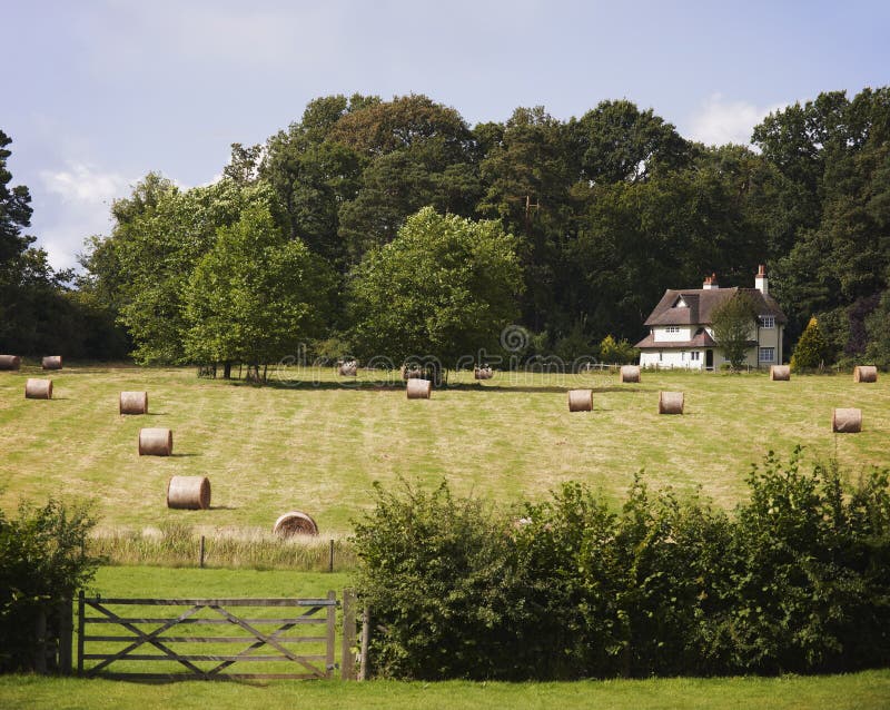 Farm stock photo. Image of crops, fields, farm, lonely - 11073634