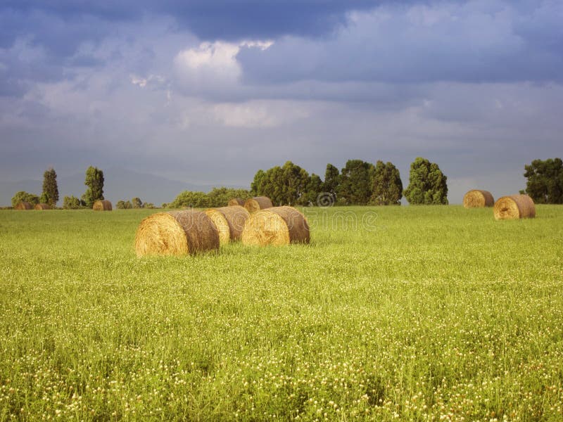 Farm stock image. Image of agricolture, landscape, round - 15044089