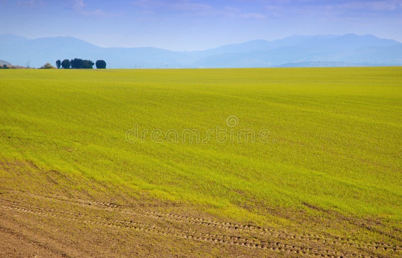 Farm stock photo. Image of farming, nutrition, harvest - 1826776