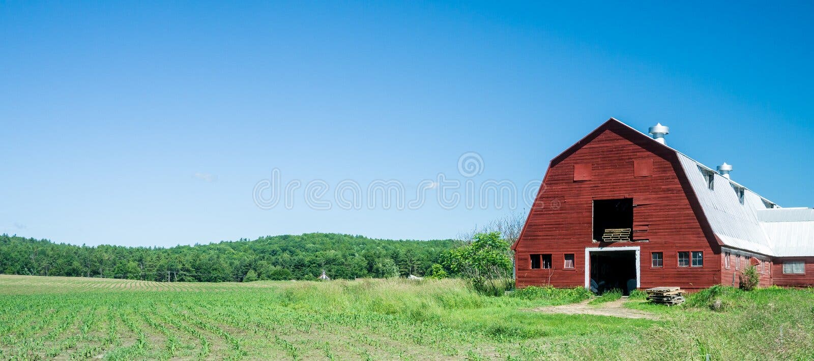 Classic Farming Scene Red Tractor and Barn Stock Image - Image of food ...