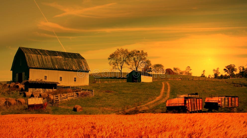 Farm stock photo. Image of grapes, rural, outdoor, country - 6742098