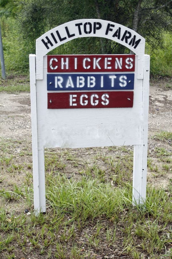 Farm advertising sign stock image. Image of eggs, agriculture - 26049155